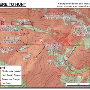 Guide to Elk Hunting - Start My Hunt